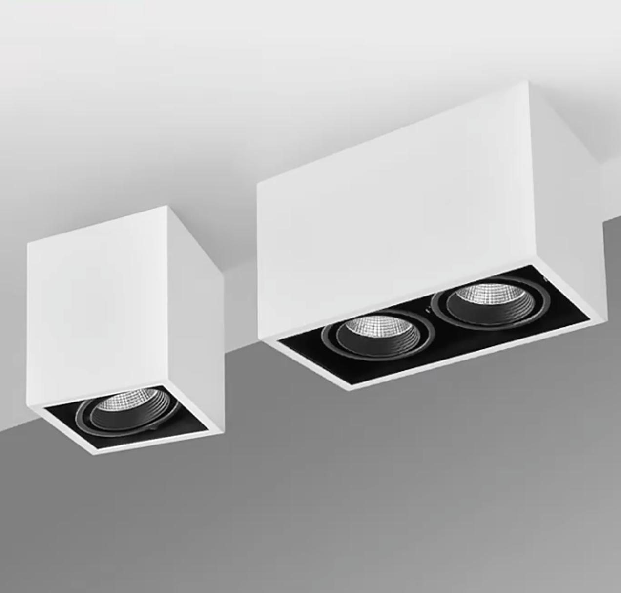 Modern Commercial Surface Mounted Rotatable Spotlight (Single/Double ...